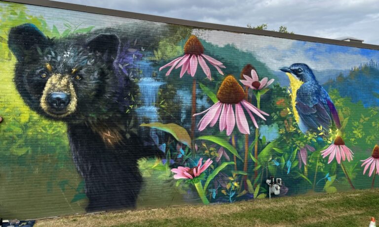 Why privacy wallets for Bitcoin and Monero still feel messy — and how ...